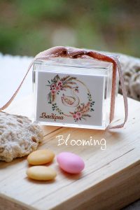Βαπτιση Κυκνος - Blooming